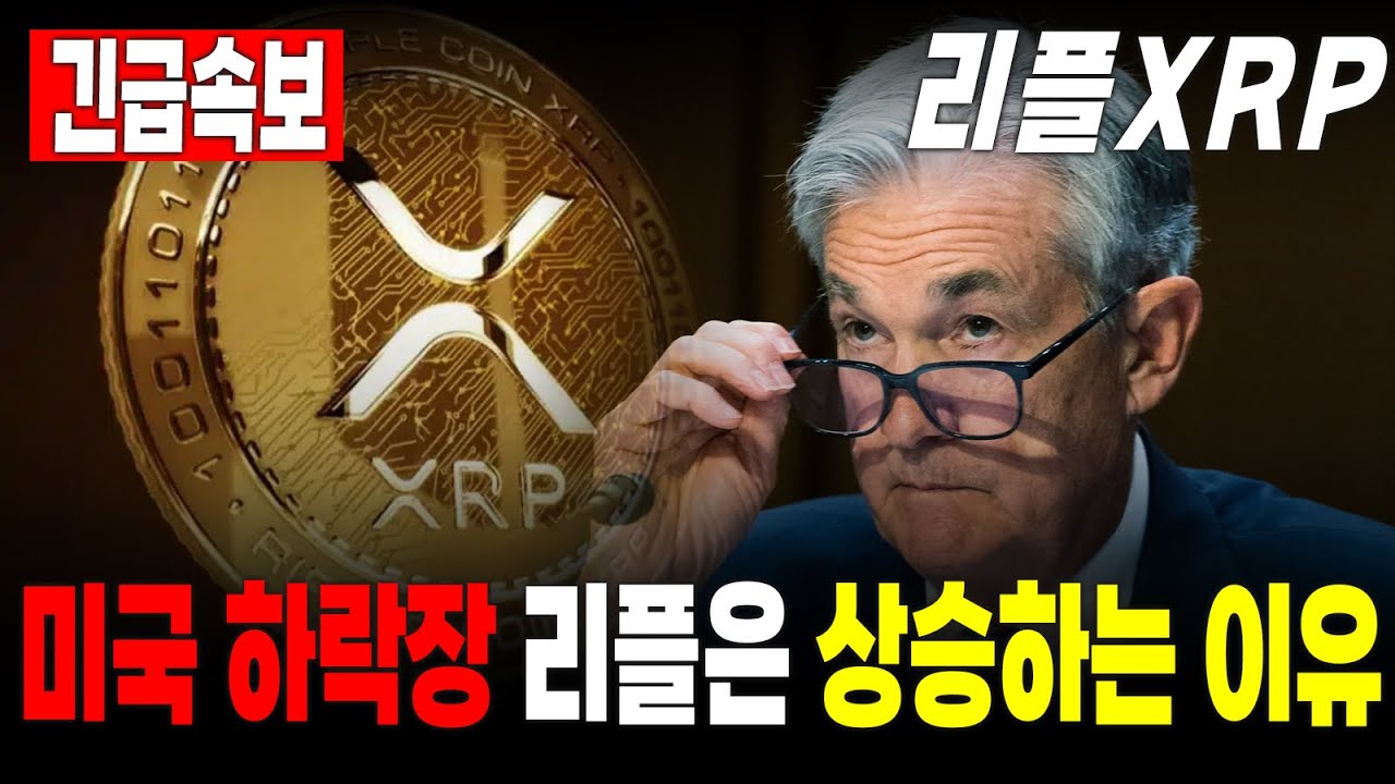 리플 전망 미국 하락장 리플은 상승하는 충격적인 이유 폭등임박 긴급속보 리플 Xrp Sec 리플소송 리플대응
