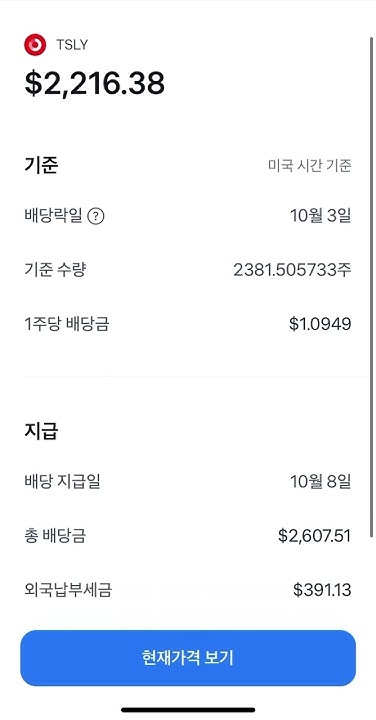 TSLY 배당 2024.10 - YouTube
