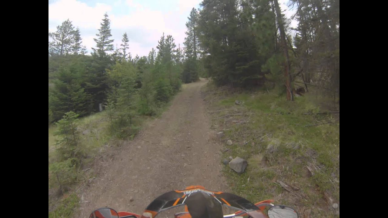 Bear encounter in the colockum-Wenatchee - YouTube