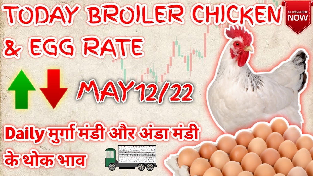 Today Poultry rate MAY12/22 Broiler chicken & Egg rate - YouTube