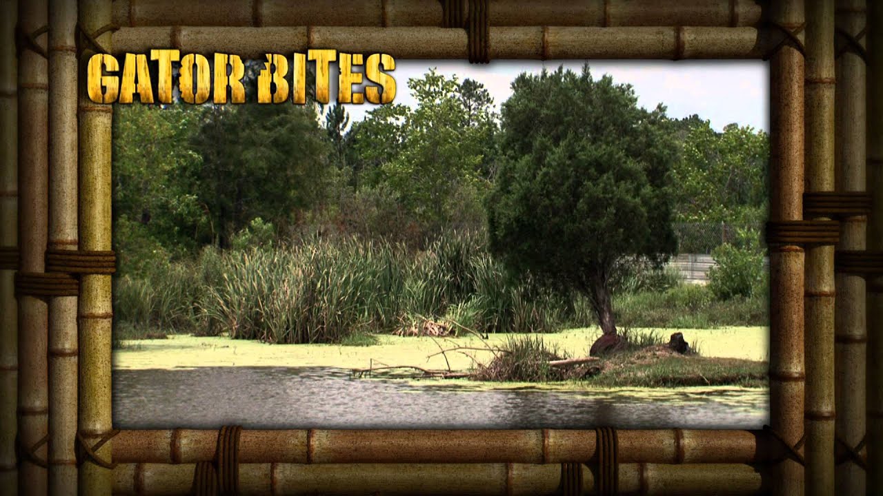 Gator Boys - Swamp Monster Attack - YouTube