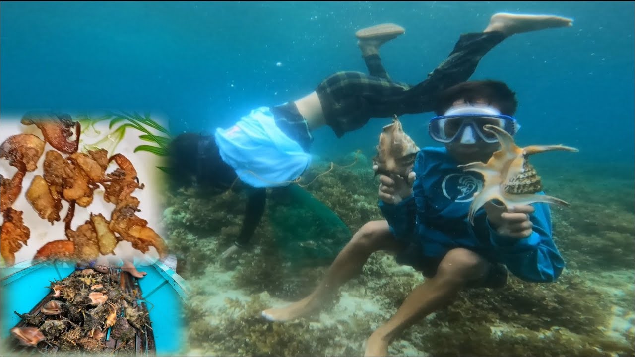 SPIDER SHELLS ADVENTURE Ang mga Batang may hasang catch&cook! - YouTube