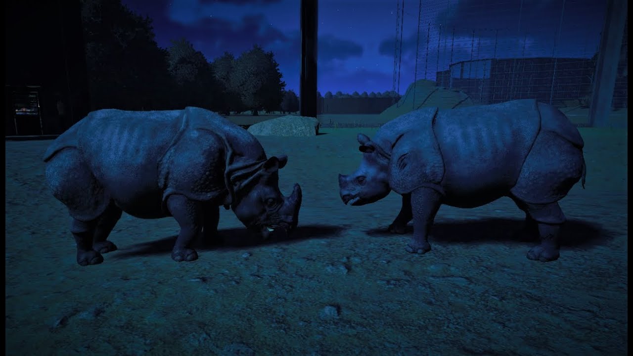 Indian Rhinoceros Fight Planet Zoo - YouTube