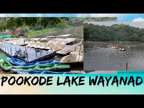 POOKODE LAKE WAYANAD #Amazing Boating experience 😀😀😎🚤🚤 - YouTube