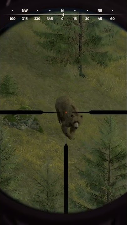 🐻🐻 Found the younglings / Brown Bear / Way of the Hunter - YouTube