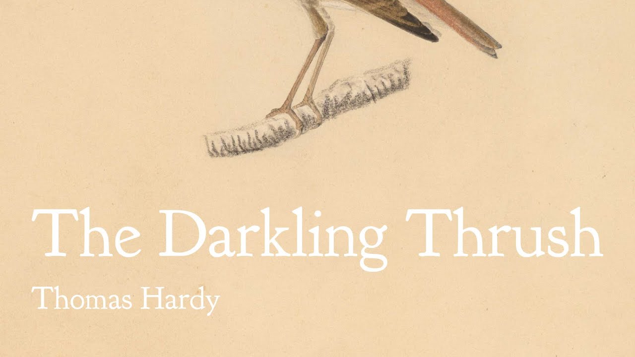 Poem Analysis: 'The Darkling Thrush' by Thomas Hardy - YouTube