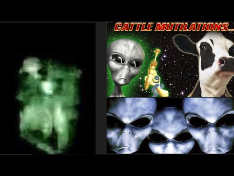 PERUVIAN ALIEN ATTACKS ONGOING & HISTORICAL*PELACARAS-THE FACE PEELERS ...