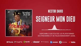 Nestor David - Seigneur Mon Dieu Chords - Chordify