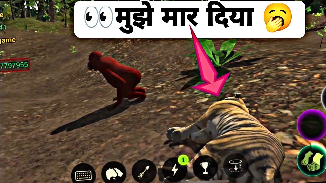 Unveiling the Secrets of Tiger Online RPG - YouTube