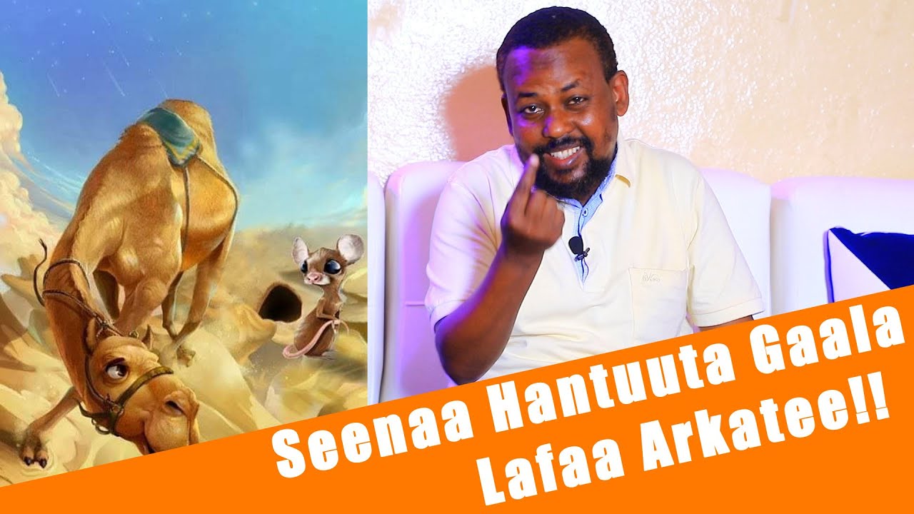Seenaa Hantuuta Gaala Lafaa Arkatee!! - YouTube