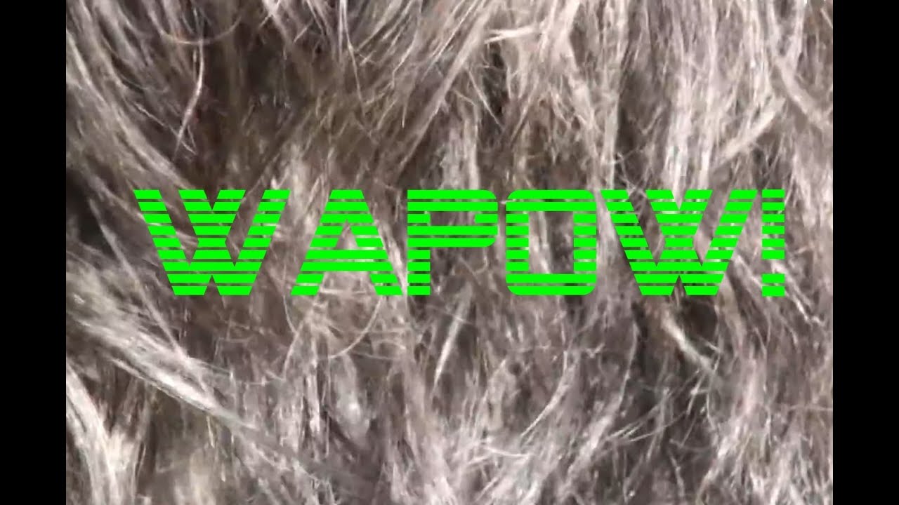 WAPOW! - YouTube