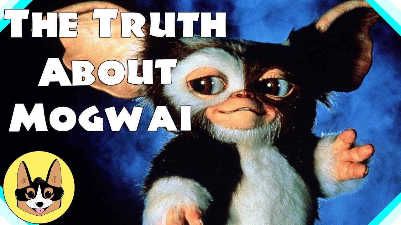 Gizmo's Backstory/Past Life AS A HUMAN! | Gremlins Movie Analysis - YouTube