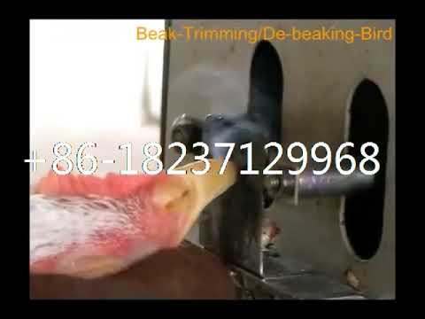 electric automatic chicken bird beak mouth debeaker cutting debeaking ...
