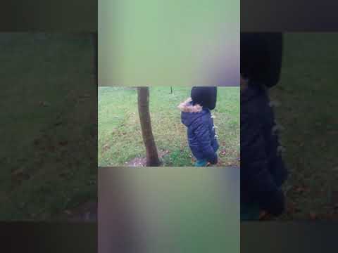 #yağmur #futbol #aile #yarımca #kocaelispor #sarıyer #körfez İçimizdeki futbol aşkı bambaşka