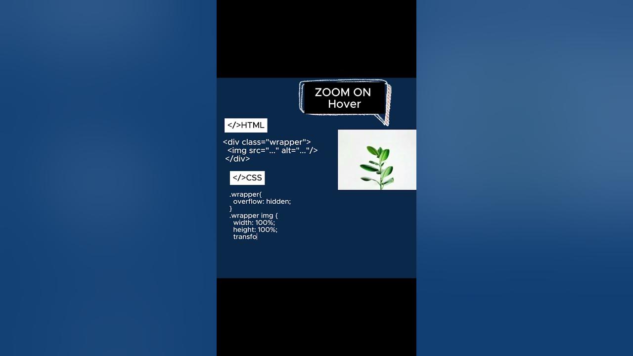 CSS Hover Zoom CSS | CSS Hover Zoom Effect - YouTube