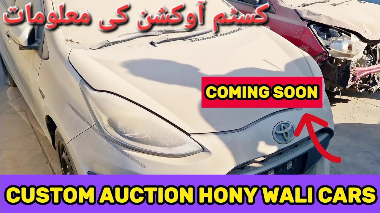 Hony waly Custom Auction ki MALOMAAT - YouTube