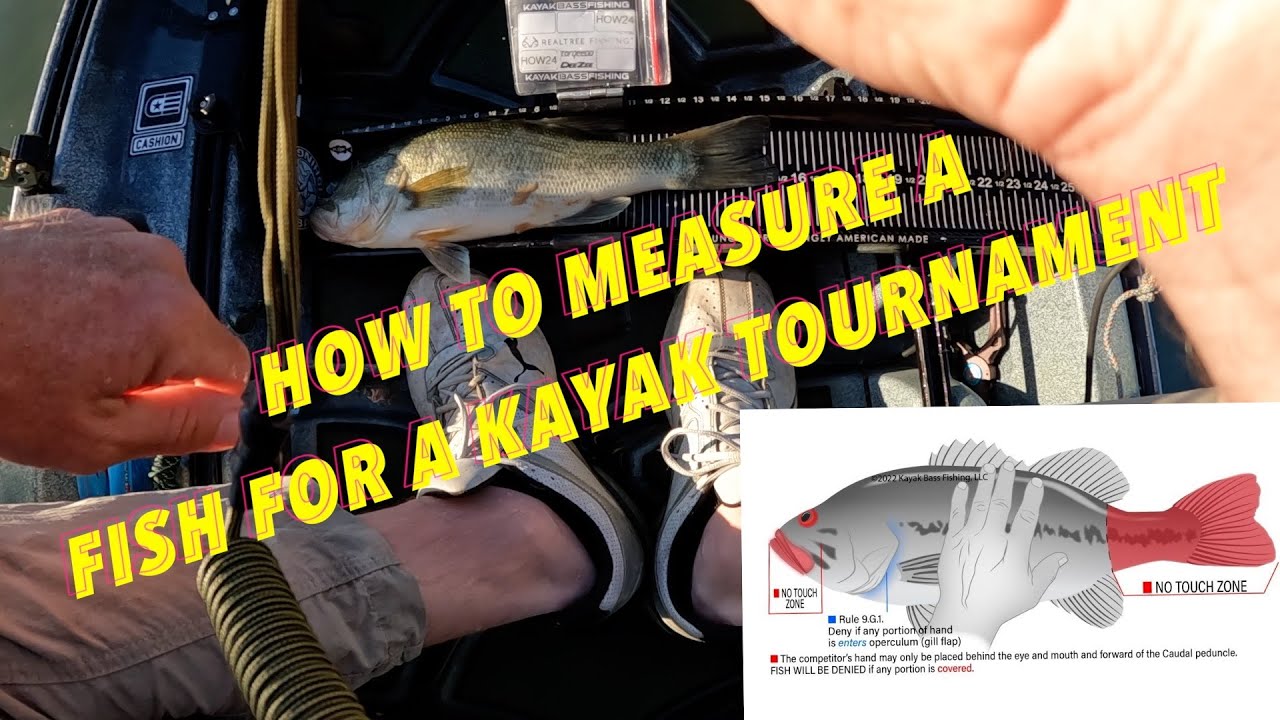 How To Measure a Fish for a Kayak Tournament / Catch, Photo, Release ...