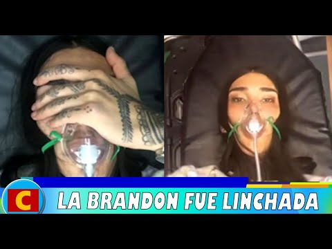LA BRANDON M4SACR4D4 a GOLP3S por rob4rle - YouTube