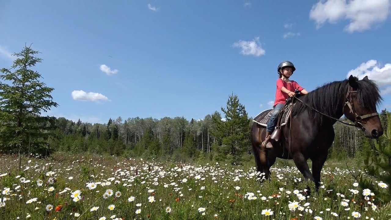 Gridlessness - stickin it to the man - YouTube