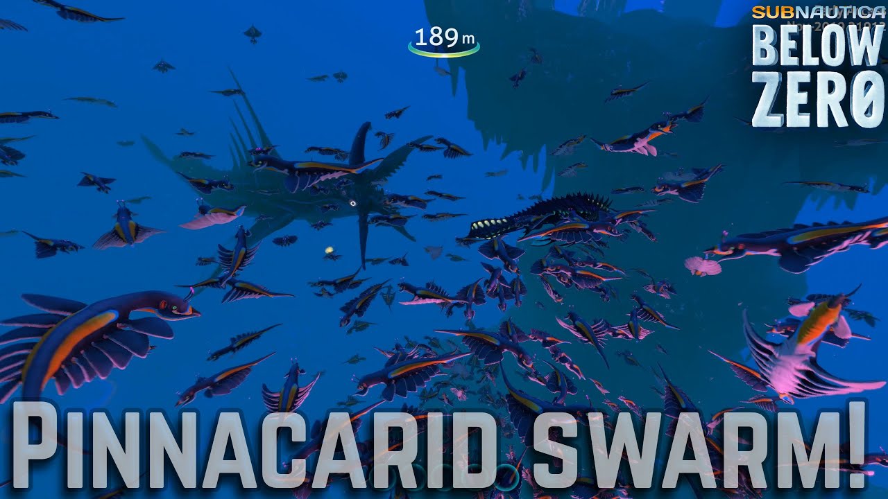 Subnautica Below Zero: Summoning a Swam of Pinnacarid! - YouTube
