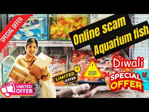 SCAM Online Aquarium Fish / Aquarium Plants Fake Website Bad Reviews No ...