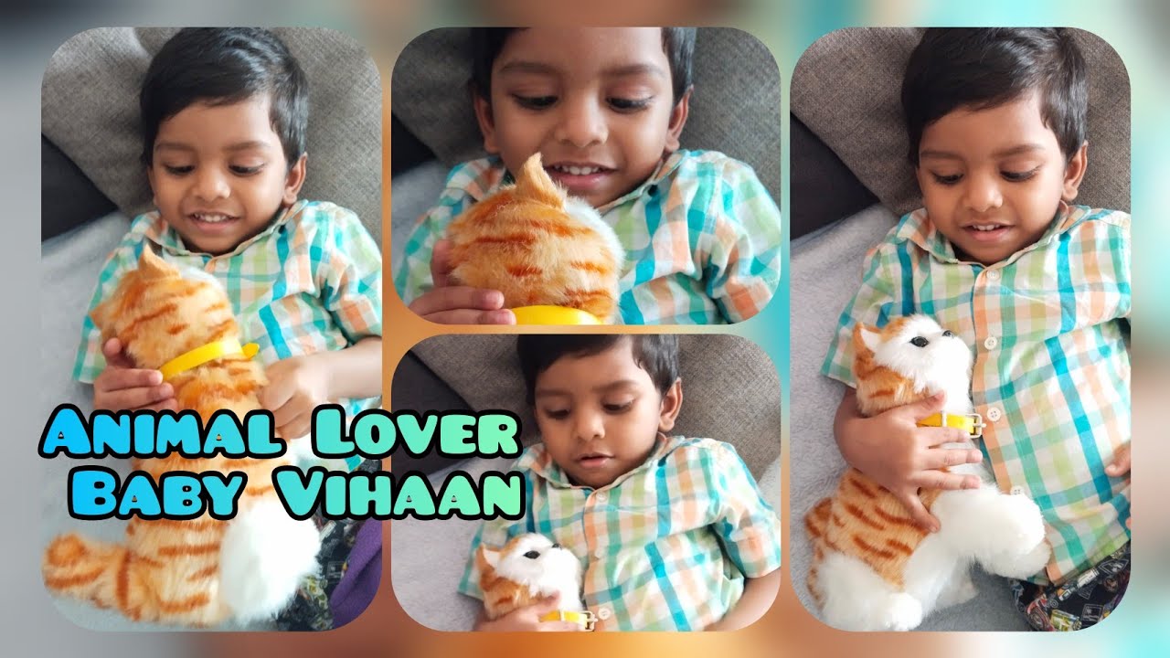 Are you animal lover l watch this cute video l baby Vihaan is playing ...