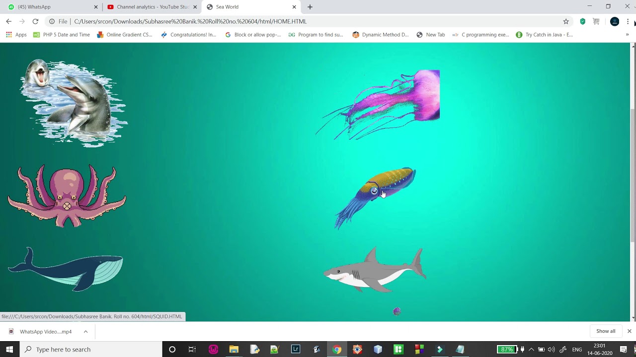 Subhasree Banik - YouTube