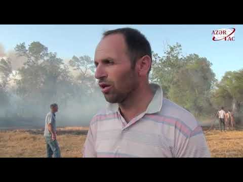 Şabranda havanın küləkli olması yanğının söndürülməsinə mane olur