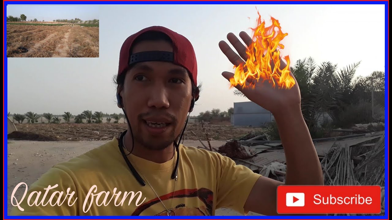 DAHIL SA SOBRANG INIT HALOS TUYO NA LAHAT NG PANANIM - YouTube