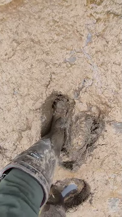 1. Teaser wellies in sticky deep mud - YouTube