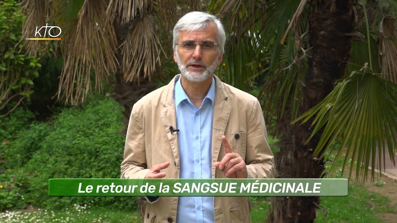 Le retour de la SANGSUE MEDICINALE - YouTube