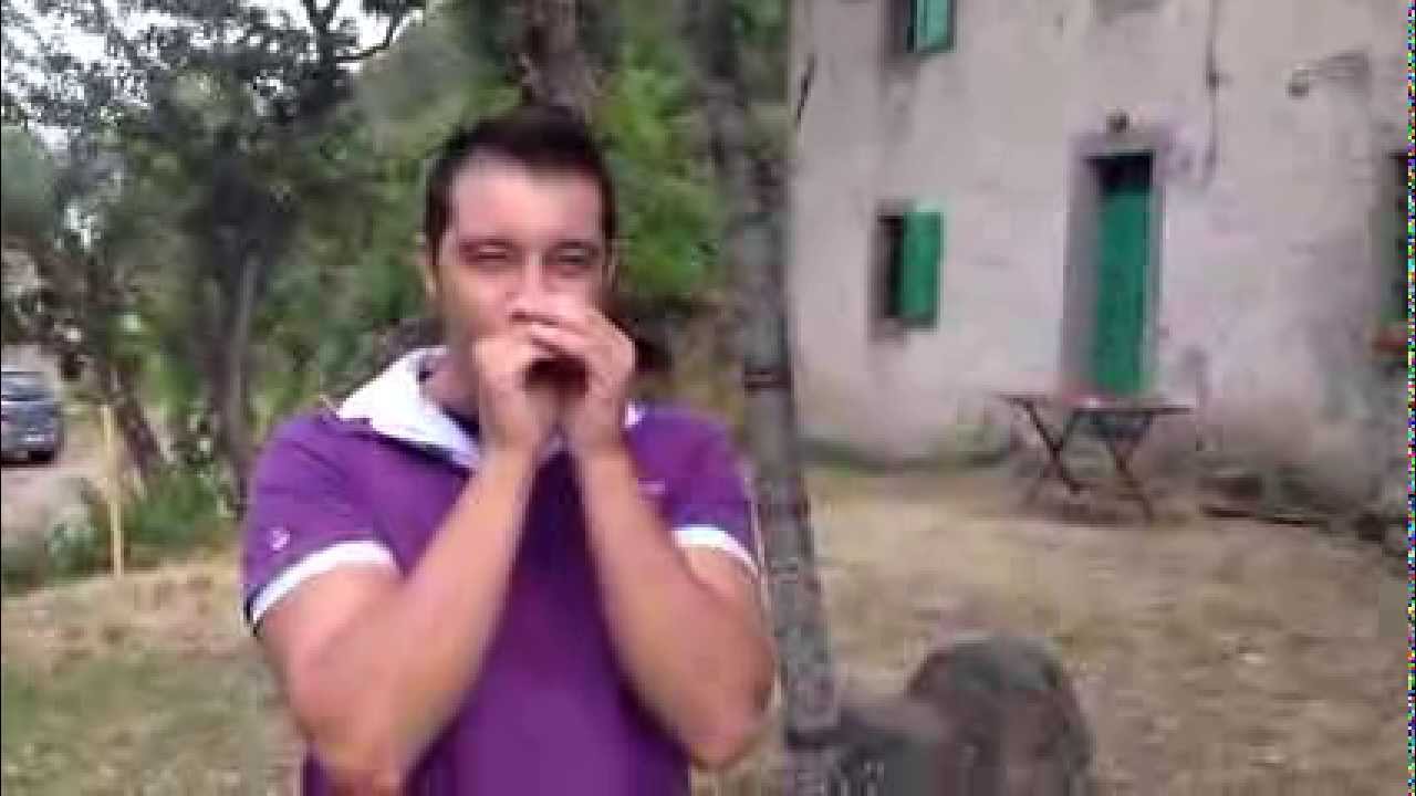 L'URLO DELLE MONTAGNE (TIBO STYLE) - YouTube