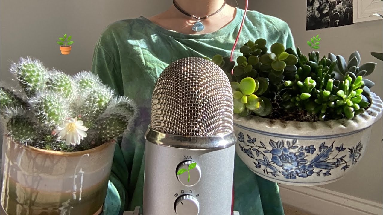 ASMR | With My Plants - YouTube