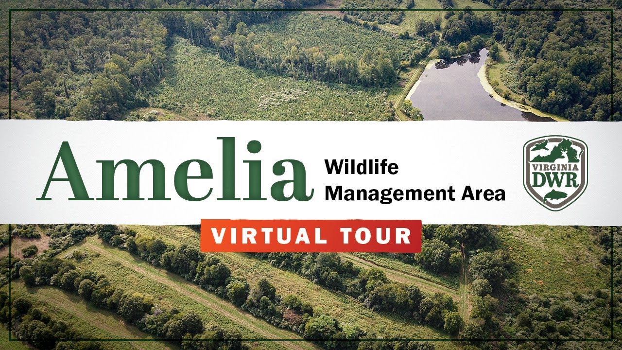Explore Amelia Wildlife Management Area (WMA) - YouTube