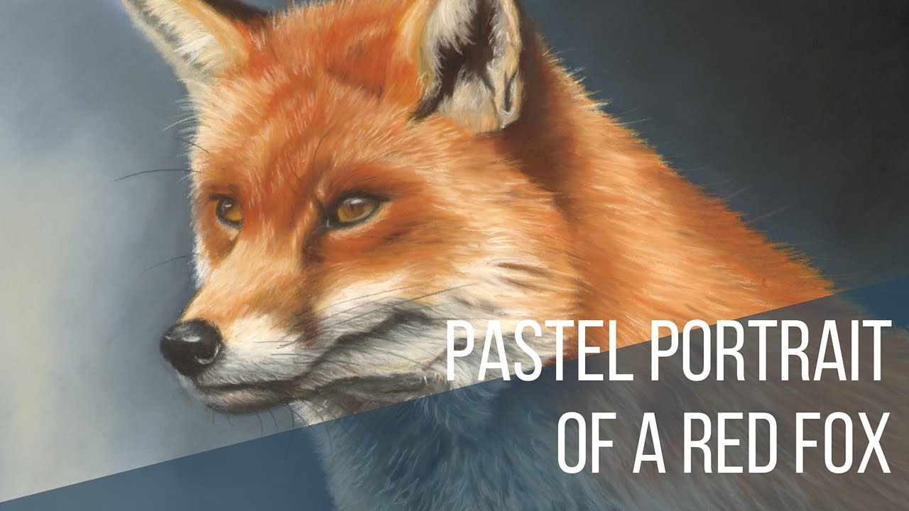 Time Lapse Pastel Portrait of a Red Fox - YouTube