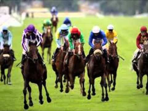 17.Kasım.2015 Adana At Yarışı Tahmini