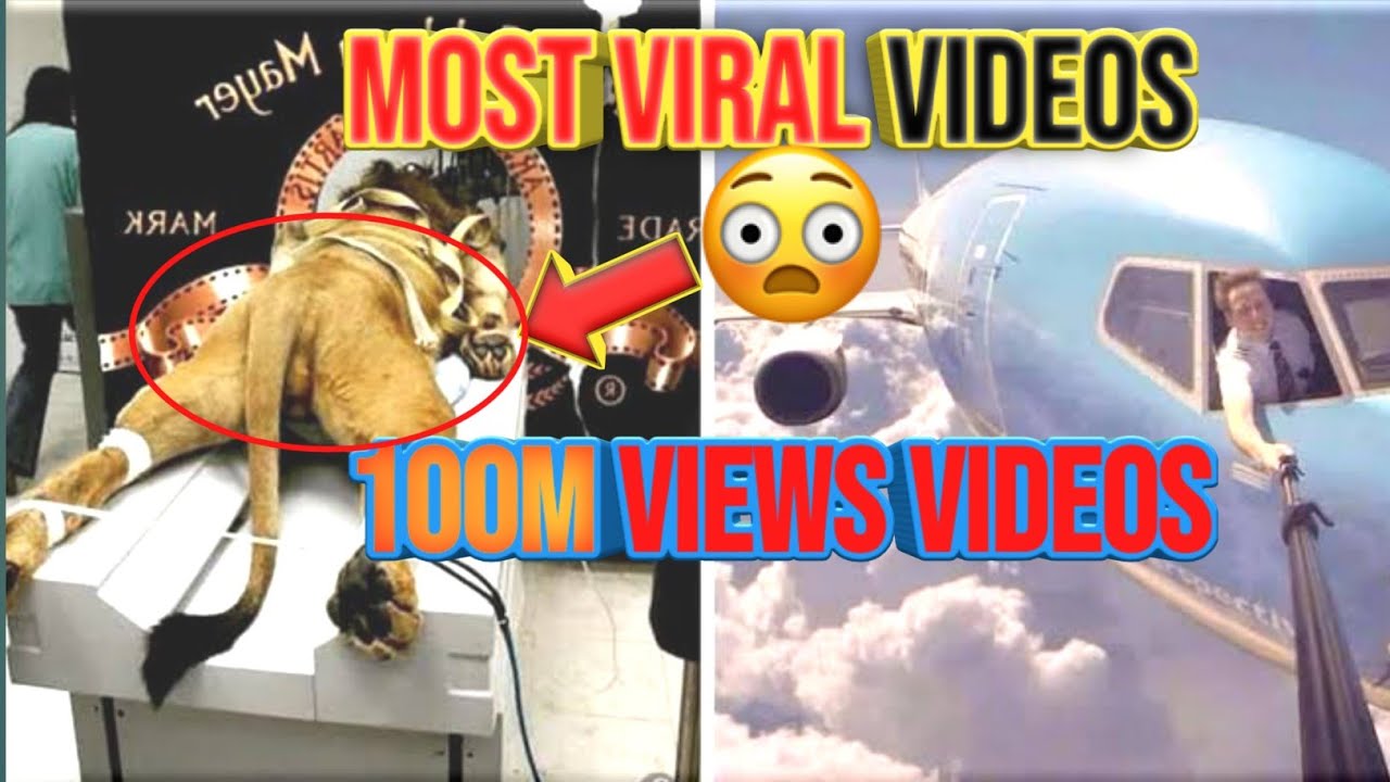 WORLD'S TOP 10 MOST VIRAL VIDEOS OF ALL TIME 😲 - YouTube