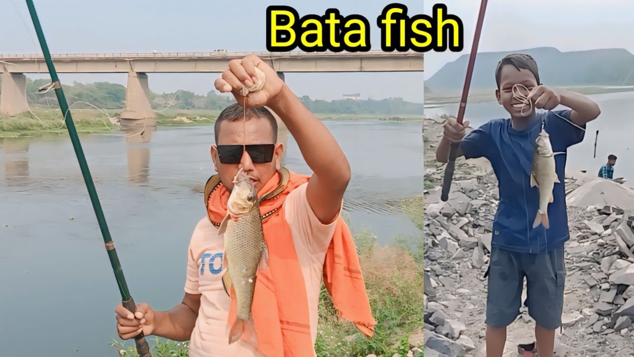 गेहूं का आटा से पकड़ते है मछ्ली || use Bait fishing video ||Single Hook fishing | fish fishing ...