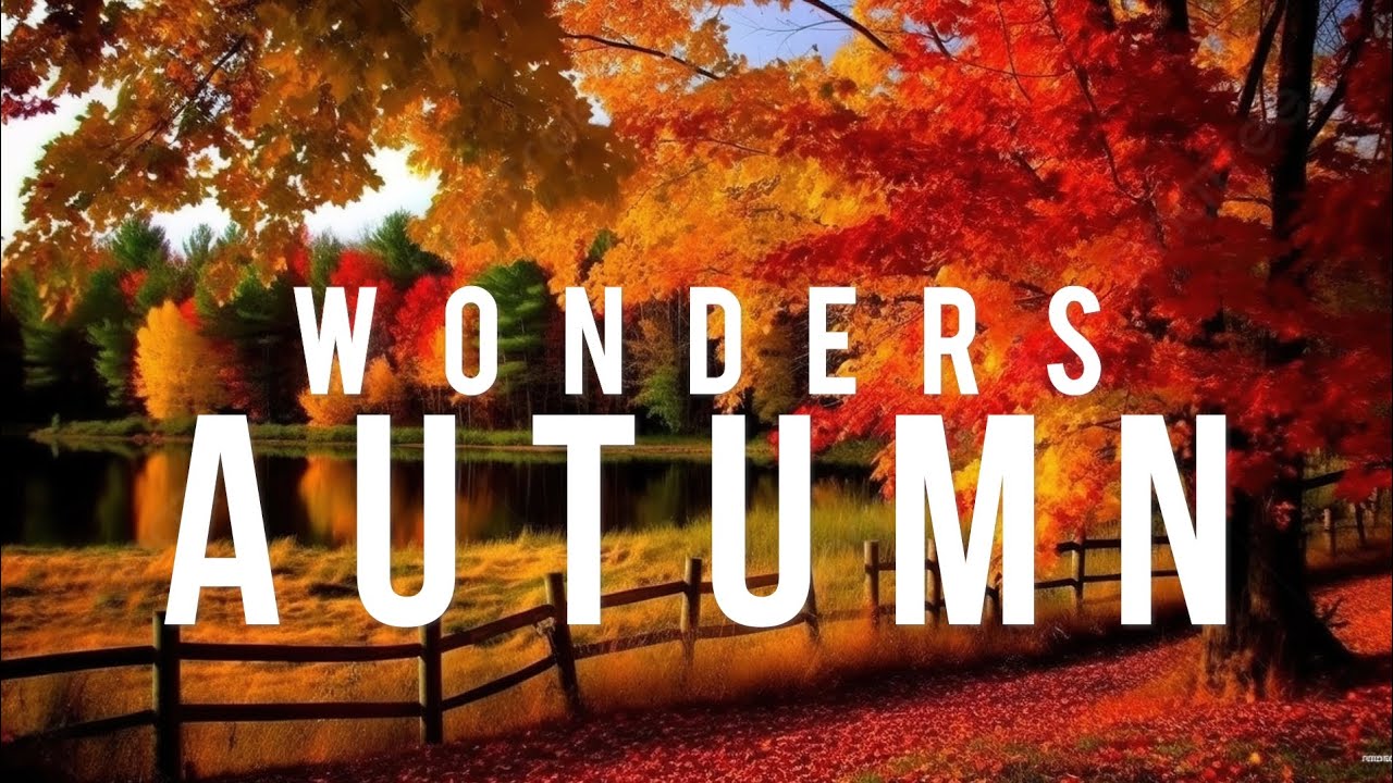 The best wonders of AUTUMN nature | Discover the Hidden Beauty of ...
