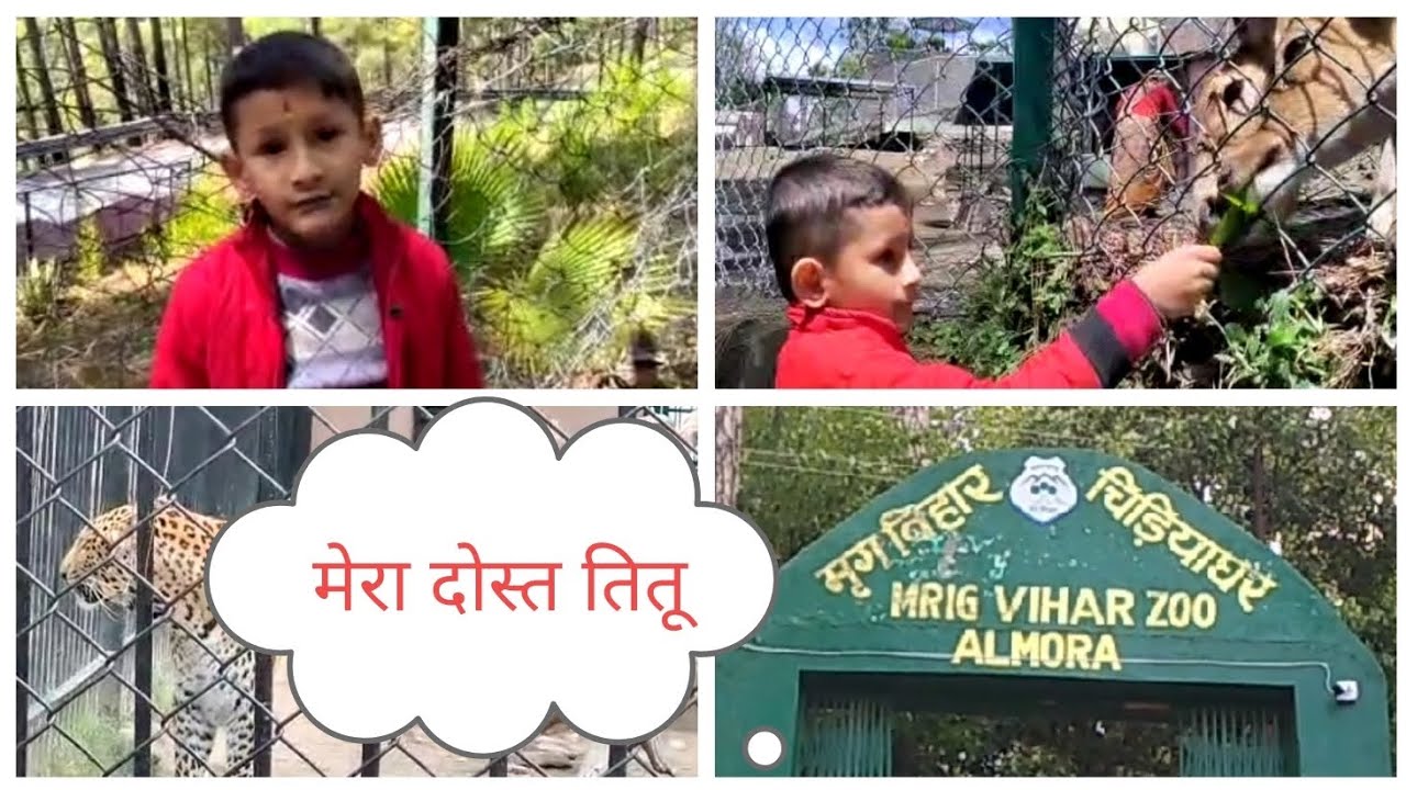 Almora second vlog ||aj jye zoo🦁||devansh tiwari haldwani # ...