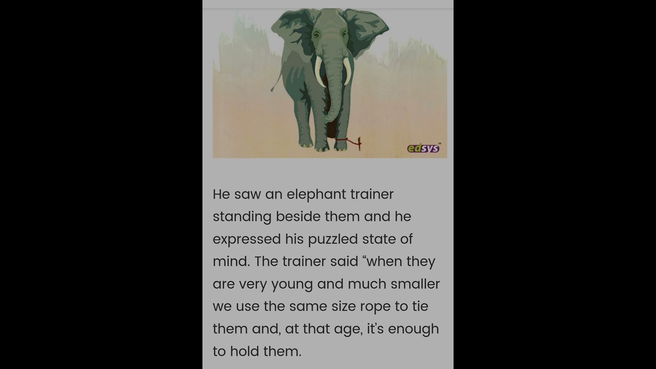 The Elephant Rope story || best story of elephants story - YouTube