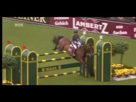 Top 5 Springpferde - YouTube