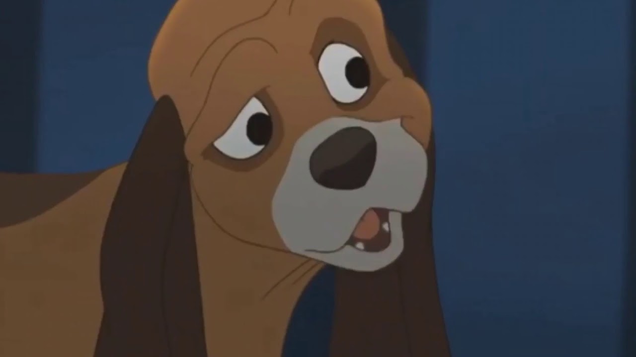 We Know. Hamilton. Animash Mashup // Bambi, Todd And Copper /// Animash ...