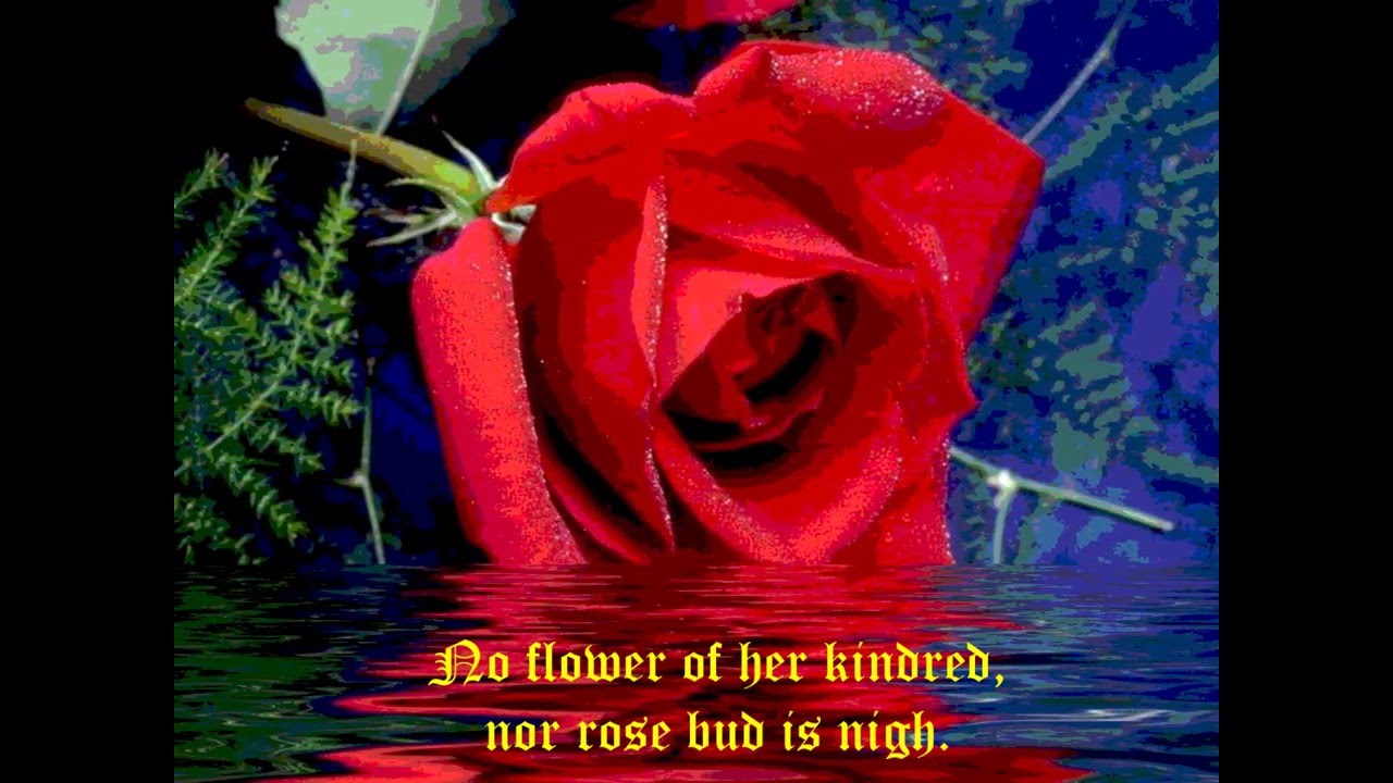 The Last Rose of Summer - YouTube
