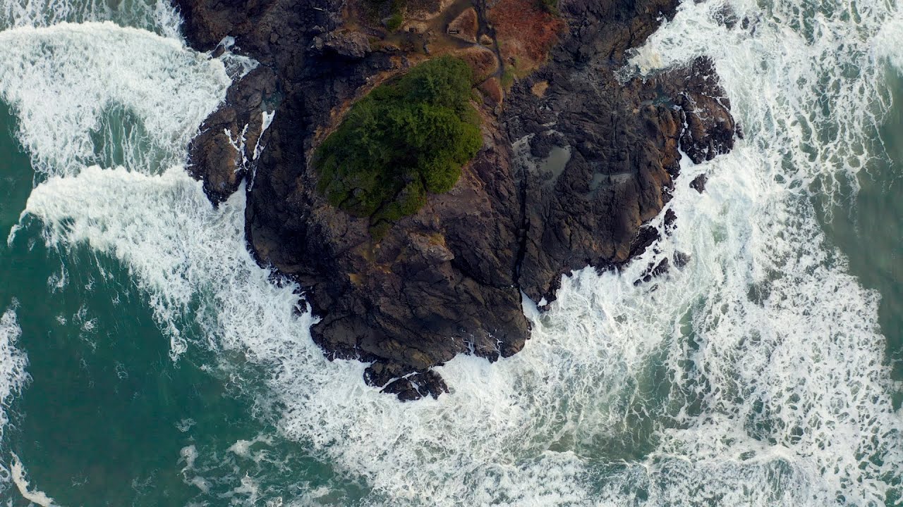 Working Together: Protecting the Great Bear Sea - YouTube