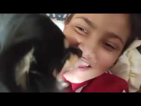 Love with Dog | Dog Love | Dog Kissing #viral #foryou #kiss #dogvideos #dogshorts #shortvideo
