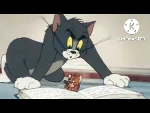 Tom & Jerry |tom and jare tom tam jore jare tom Tom tom tom jaretT ...