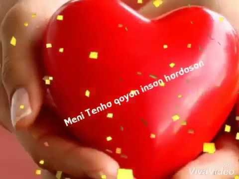 Meni tenha qoydun