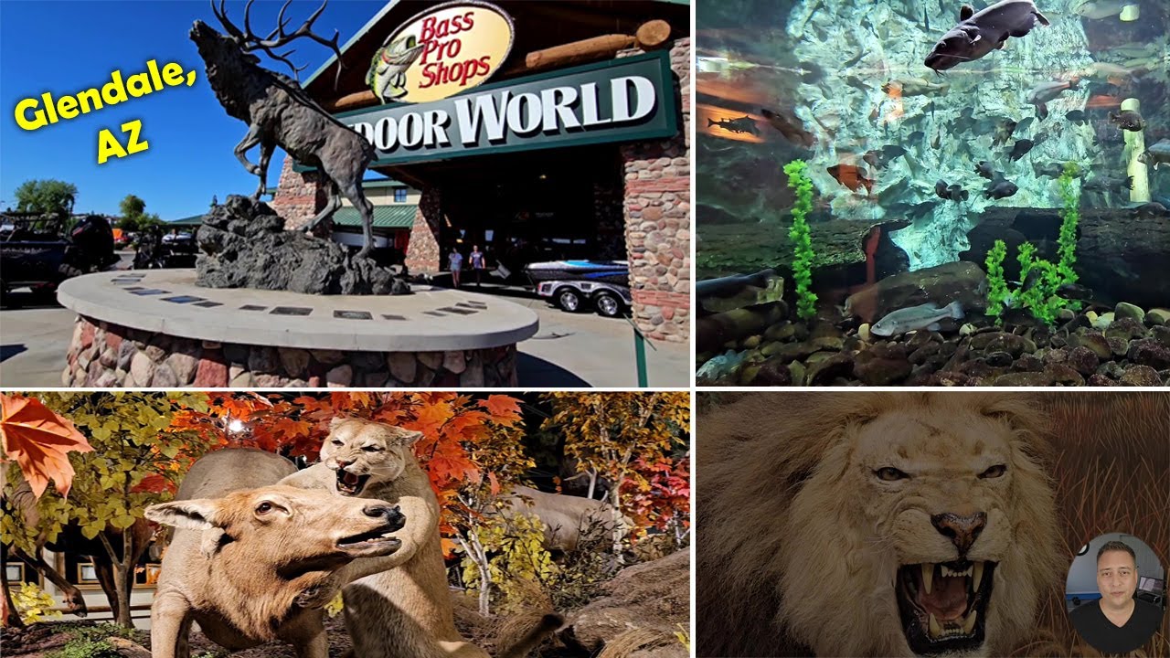 160000 Sq Ft 🎣 Bass Pro Shop Cabelas In Glendale Az Sporting Goods And Outdoor Store Youtube