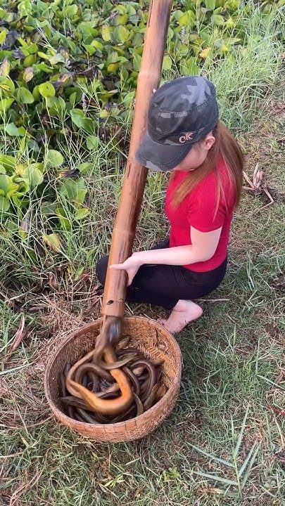 Survival eel trapping skills to catch a lot of giant eels fish - YouTube
